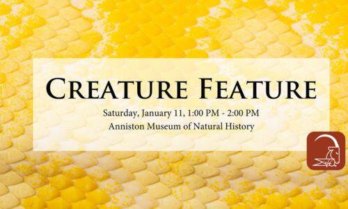 Meet the Animal Ambassadors at Anniston Museums and Gardens - NewsBreak