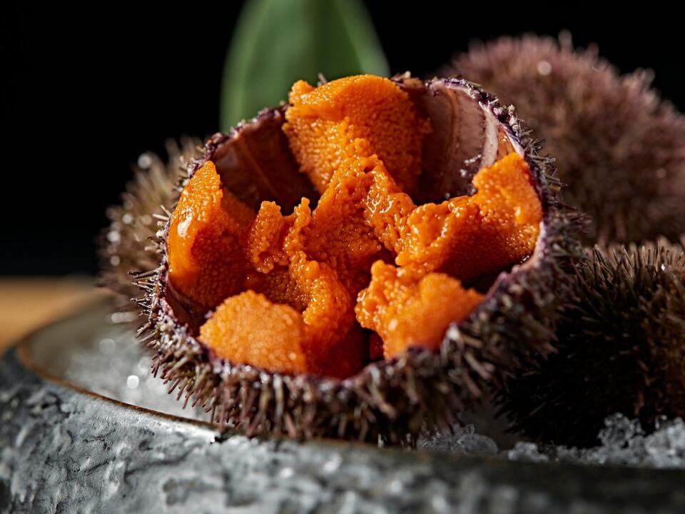 Exotic Seafood Delicacies from Around the World