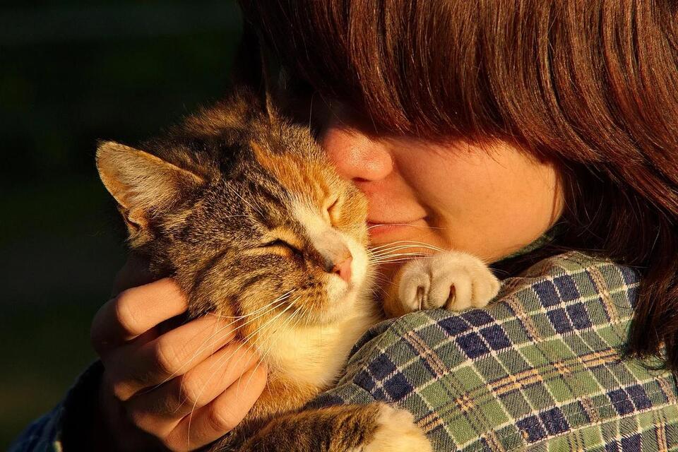 8 Ways Your Cat Helps You Relax (And 7 Signs They’re Feeling Your ...