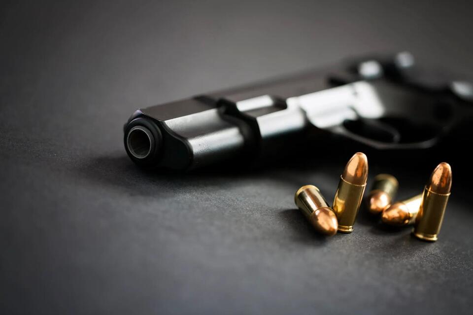 Delaware Launches Online Portal for Handgun Permit Applications - NewsBreak
