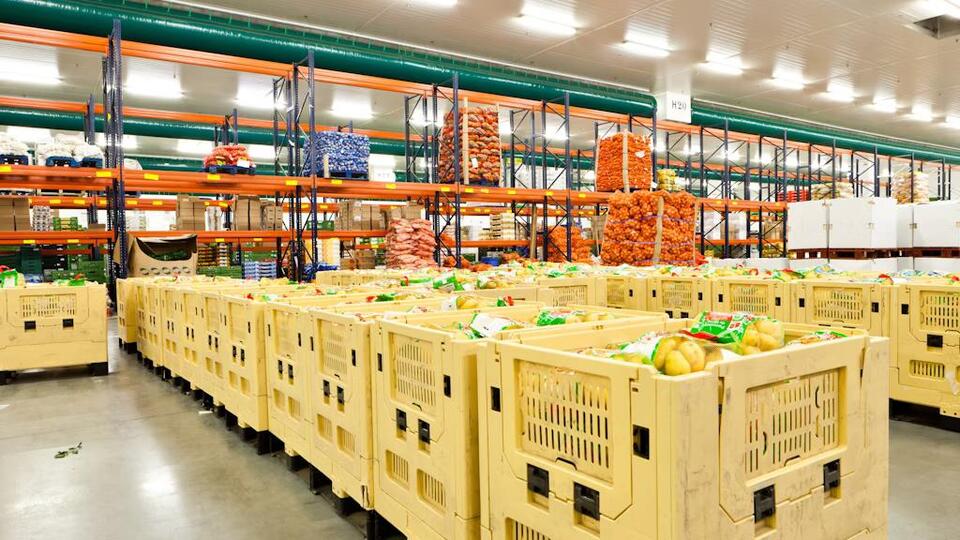 Choco Launches AI Agent for Food Distribution - NewsBreak