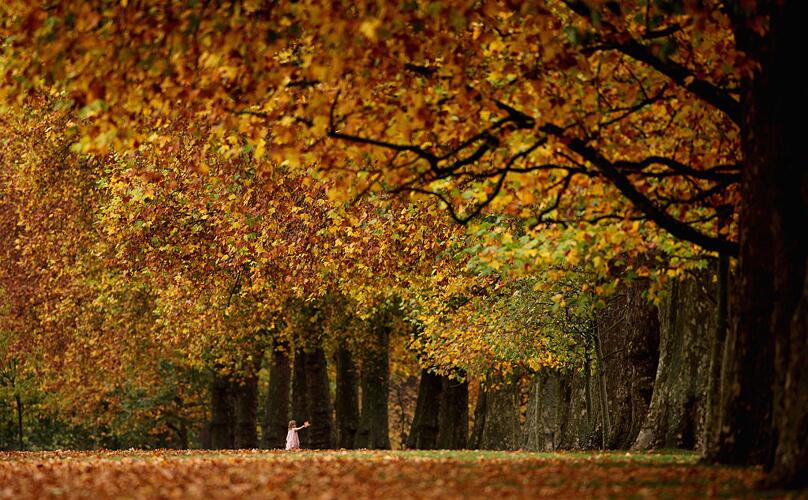 Rex Weather Forecast - NewsBreak