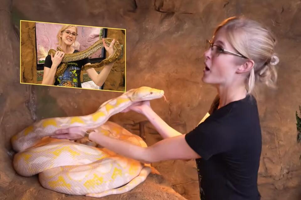 Minnesota Has a Wildly Popular Zoo Dedicated Entirely to Snakes and ...