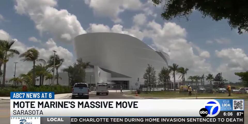 Mote Marine closed; to relocate after 25 years on City Island - NewsBreak