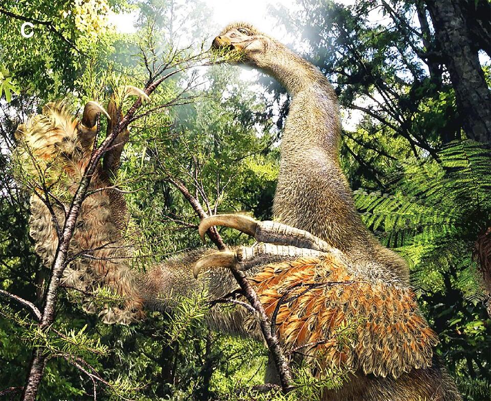 Dinosaur species discovered with just two claws, baffling scientists ...