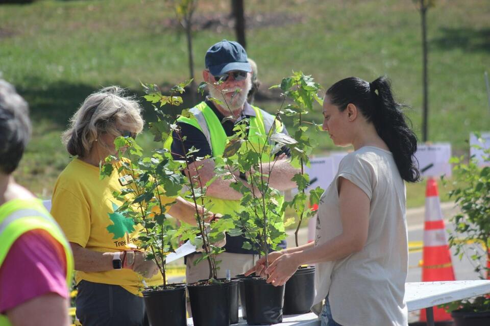 PHOTOS: Thousands of native plants find new homes at Tree ...