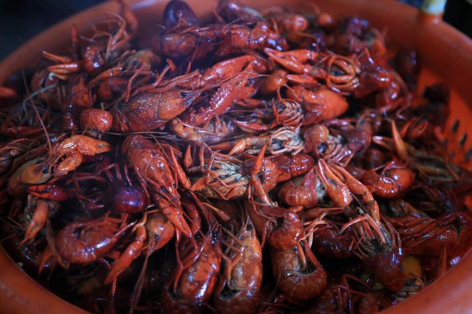 Crawfish Season Kicks off With Mixed Quality and High Prices - NewsBreak