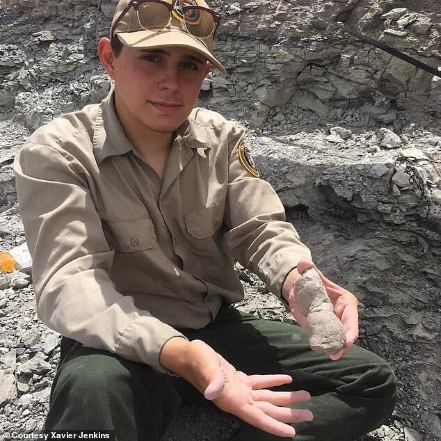 Fossils reveal a new species of burrowing reptile with features of an ...