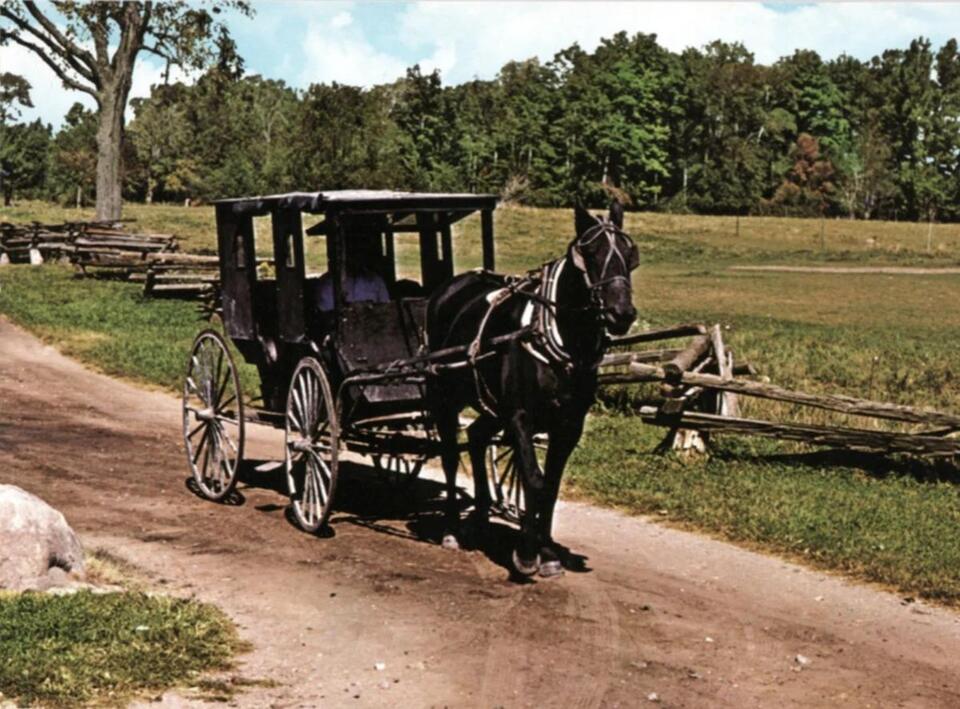 Amish Teen Killed In Rock Attack: Police Seek Help In 1969 Cold Case ...