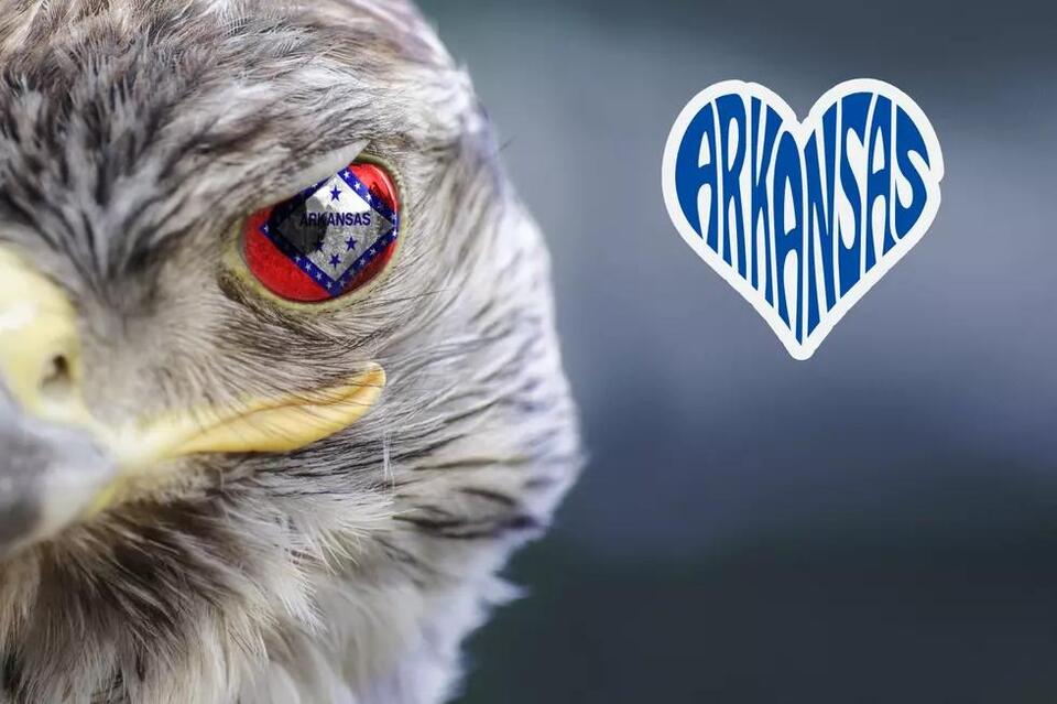 Arkansas State Symbols: How Many Do You Know? - NewsBreak