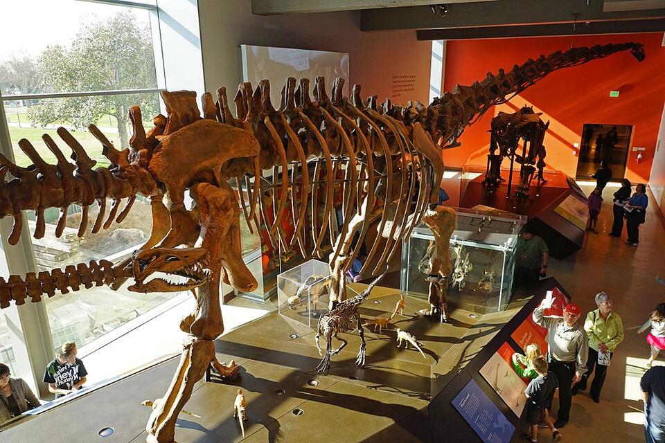 How Early Dinosaur Discoveries Changed Natural History Museums Forever ...