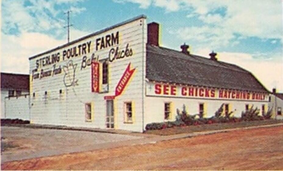 Manistique's "Peep Show" - The Chick Museum, 1950s - NewsBreak