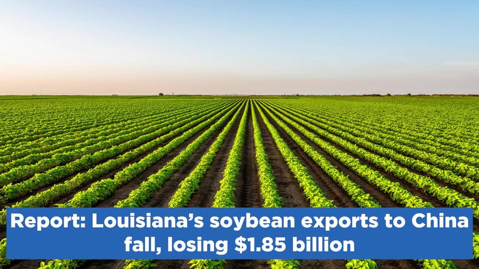 Pair arrested, accused of stealing over $10K worth of items across ...