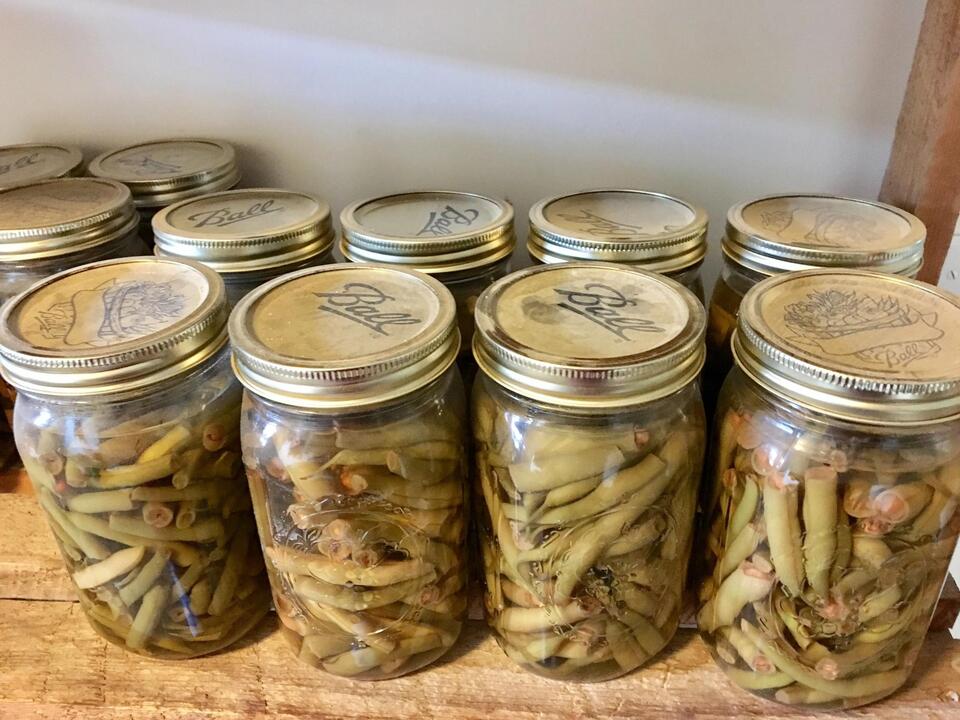 How to get started with home canning - NewsBreak