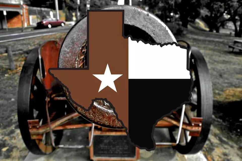 A New Resolution in Austin Wants to Make the ______ the Official State ...