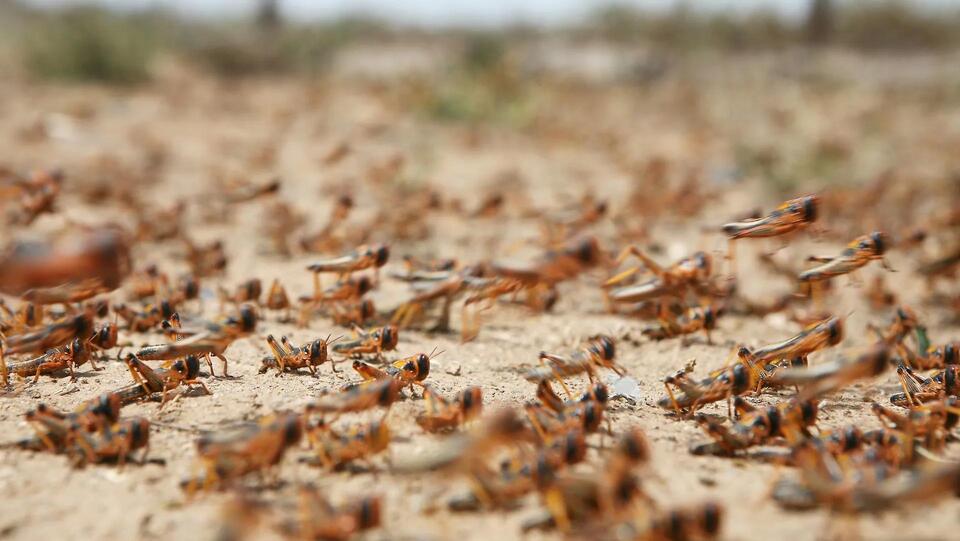 'A severe threat': Researchers stress crucial warnings for biblical ...