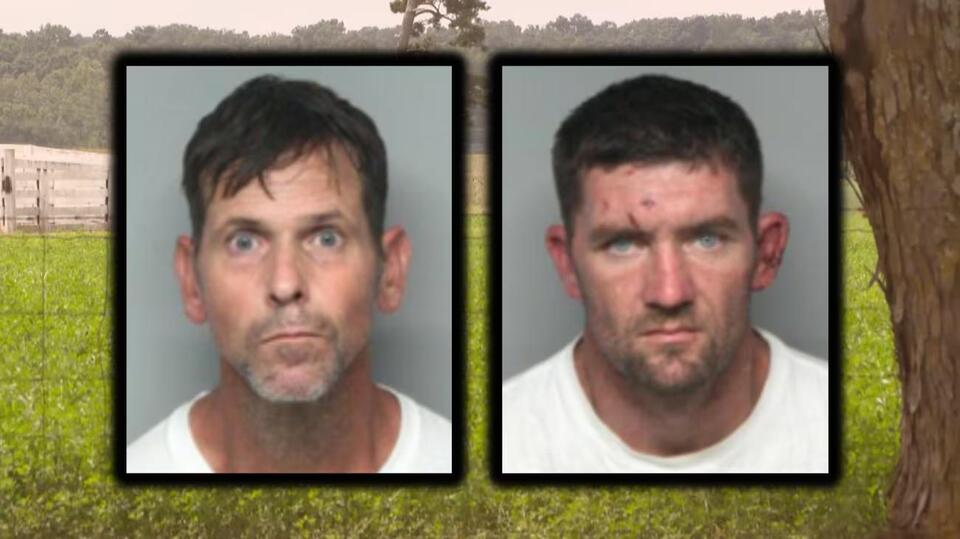 Cows stolen from North Carolina farm, sold under fake name, warrants ...