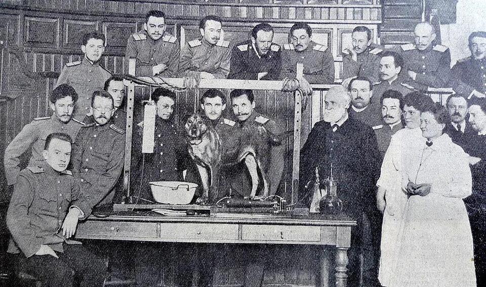 The Pavlovian Dog Experiment: How Conditioning Changed Our ...