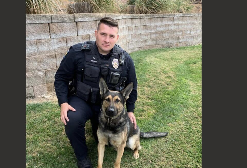 Southwest Kansas K9 retires from police duties - NewsBreak