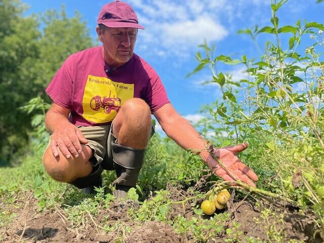 'Worst crop in years': Farmers morose as rainfall affects crops in ...
