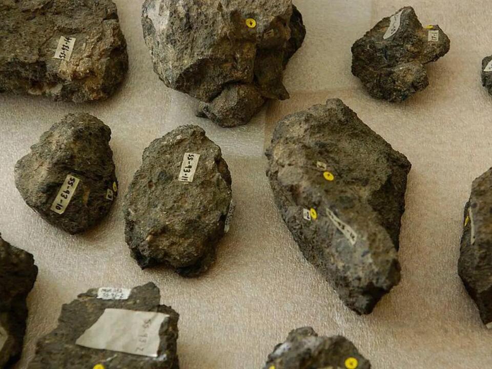 New 'Poozeum' displays record fossilised poo haul