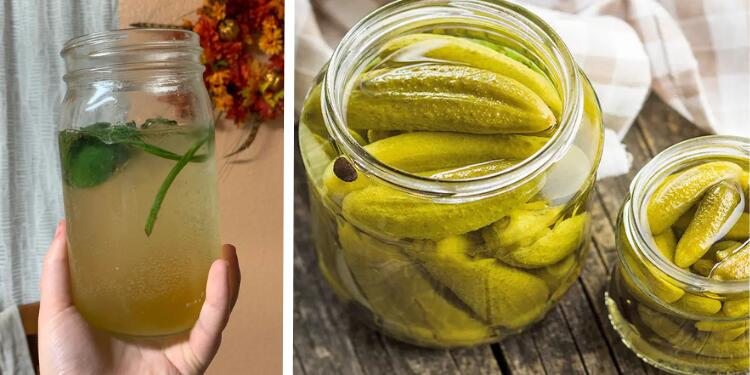 Don’t Throw Away the Pickle Juice – Here Are Some Amazing Uses for It ...