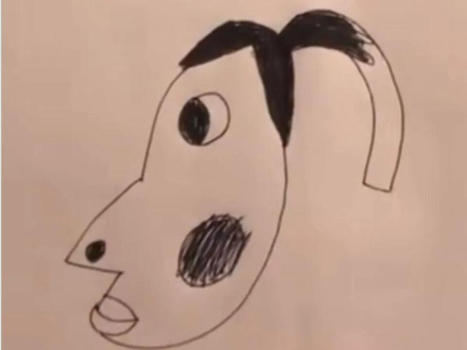 "THEY FRAMED IT I'M CRYING": The 'Hyperpigmentation' meme family ...