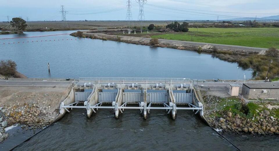 DWR: Cloudy water, clear decision: Using science to protect fish and ...