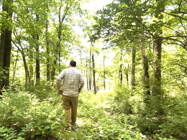 Western Wildlife Corridor plans to open new nature preserve in Delhi ...