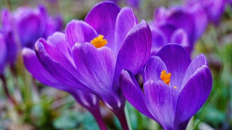 OBITUARY: Barbara Kaye Jones - NewsBreak