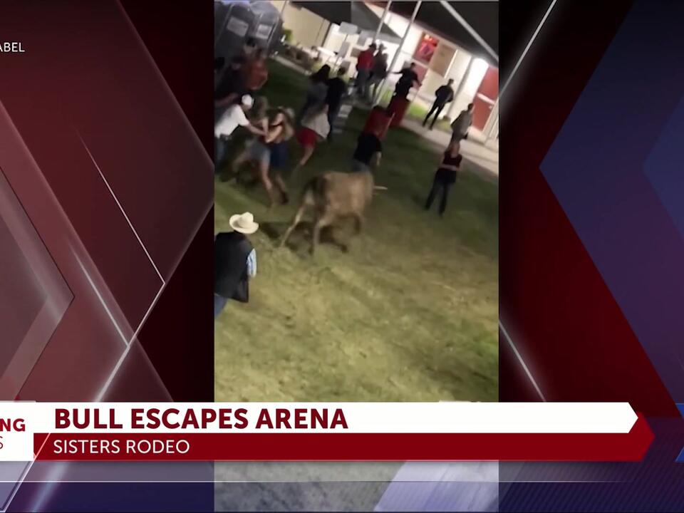 Bull escapes Sisters Rodeo arena, runs through crowd; several hit ...