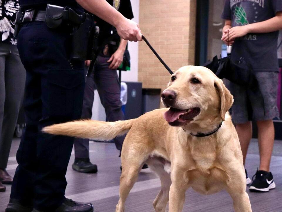 Keegan, UNT's bomb-sniffing K-9, heading to lap of luxury after six ...