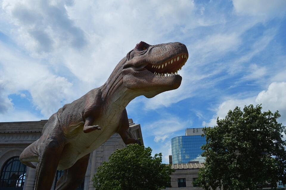 What Modern Animals Can Take Down a T.Rex - NewsBreak