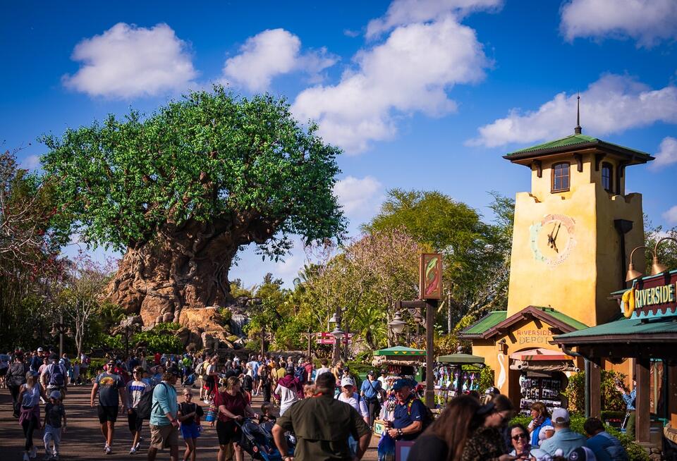 Virtual Queue Speed Strategy for Bluey’s Wild World - NewsBreak