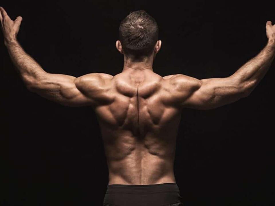 Stiff Arm Pulldowns Exercise Guide — How to, Muscles Worked, & Alternatives