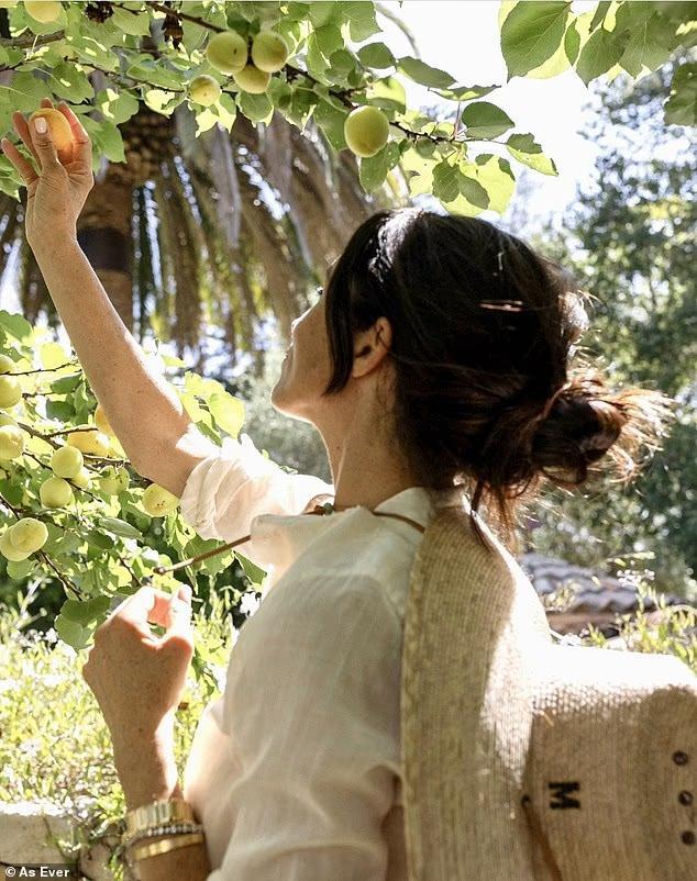Royal fans spot confusing detail in Meghan Markle's fruit-picking ...