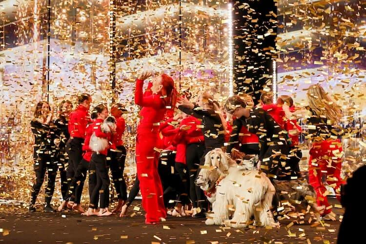 Meet ‘America’s Got Talent’ Golden Buzzer Dog Acro Canine Crew - NewsBreak