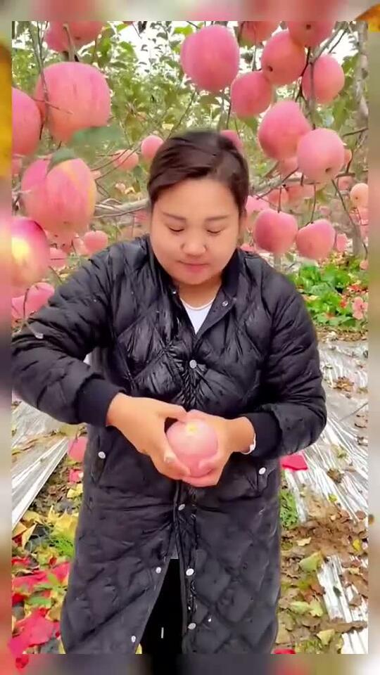 Crafting flavors one fruit at a time (24) - NewsBreak