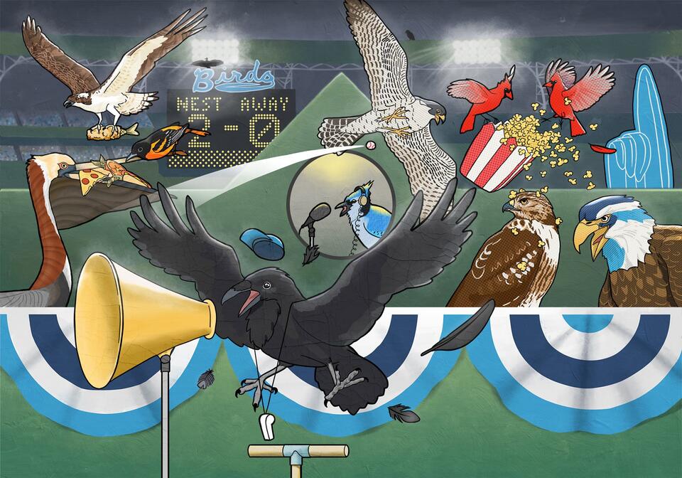 So Many Sports Teams Are Named for Birds—Here’s Why (and Where to Find ...