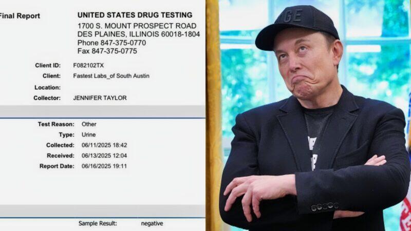 Elon Musk Savagely Claps Back At Donald Trump’s Drug Addict Accusations ...