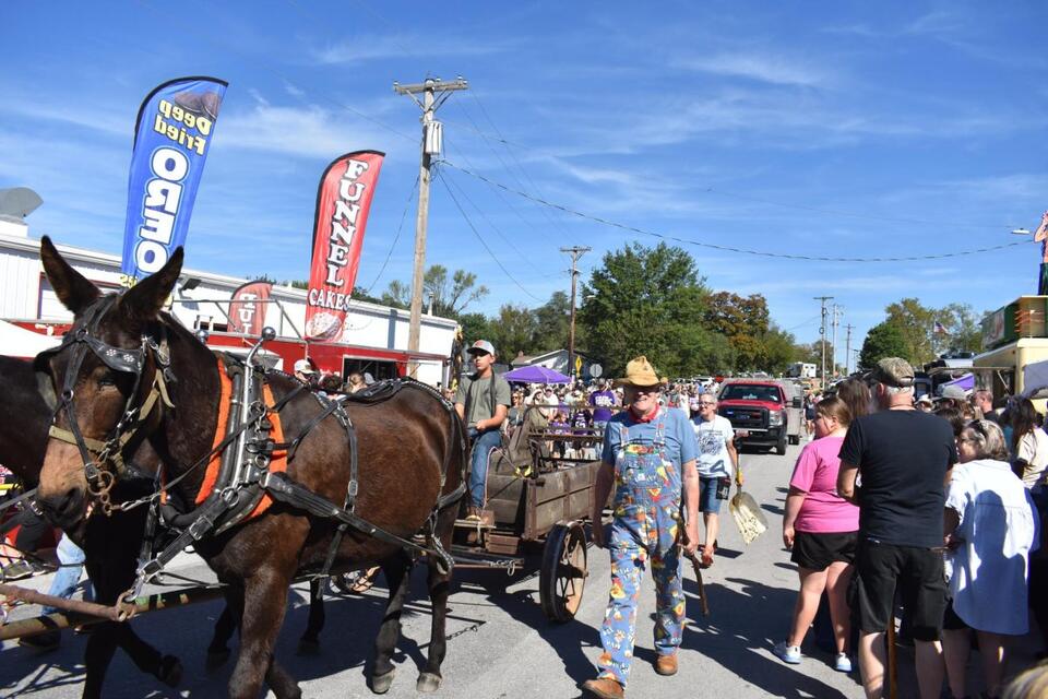 Fair Grove Fall Festival 2025 Brings Fun for Everyone - NewsBreak