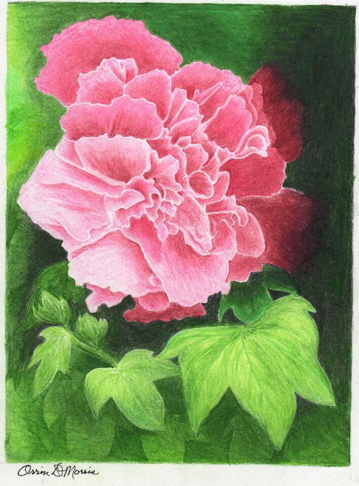 ORRIN MORRIS: Let us all strive to be peacemakers - NewsBreak