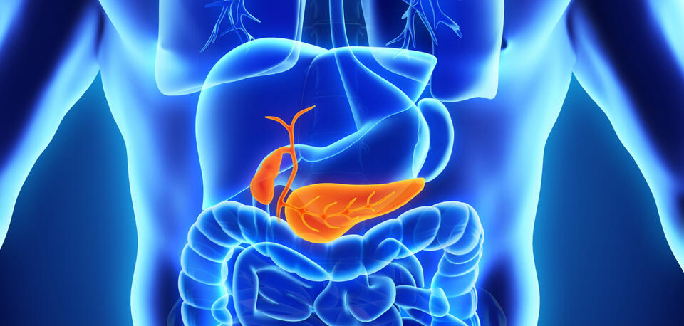 FDA Approves First Electrical Therapy for Pancreatic Cancer - NewsBreak