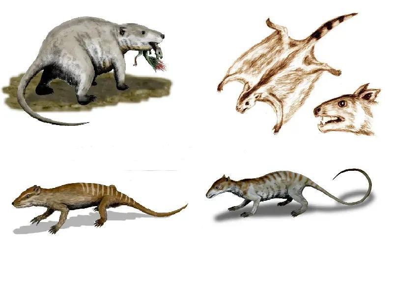 How Did Prehistoric Mammals Survive the Reign of Dinosaurs? - NewsBreak