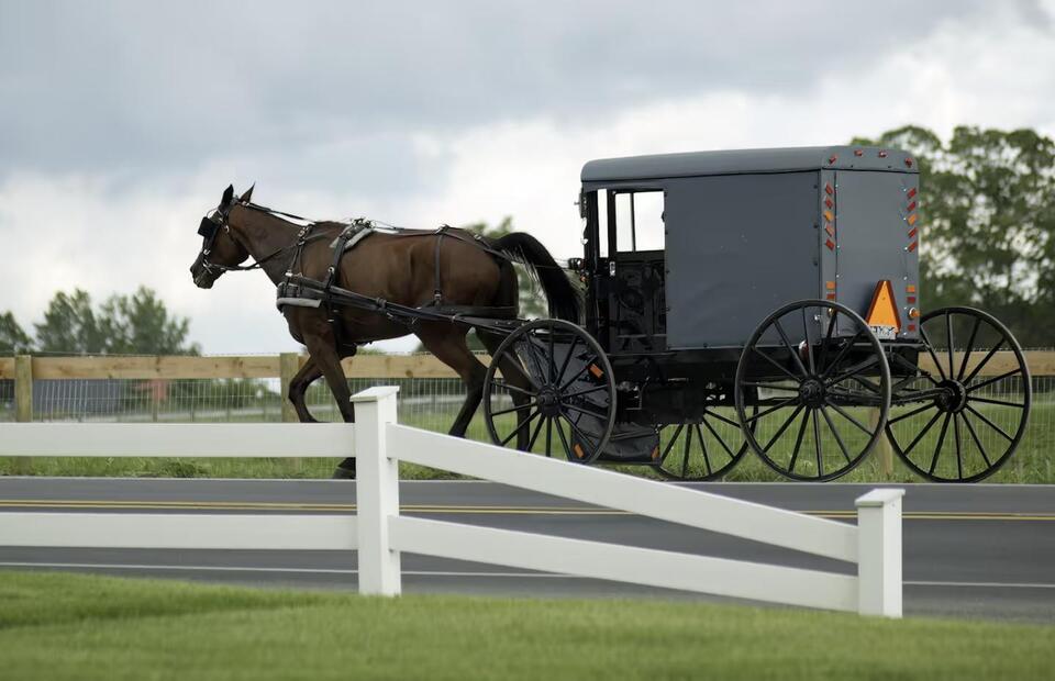 17-Year-Old Tossed From Buggy After Lancaster County Hit-Run By Water ...