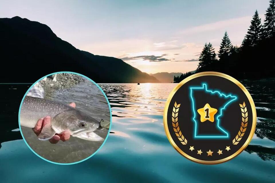 Didn’t Go 20! Take A Look At This Lake Superior Lunker - NewsBreak