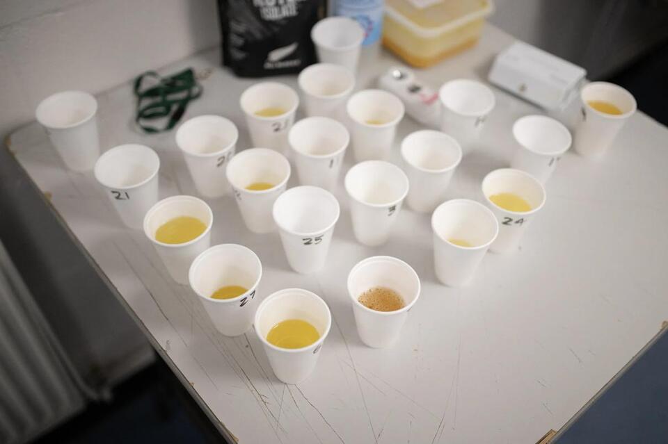 High school baseball player who peed in opponent’s water jug now facing ...