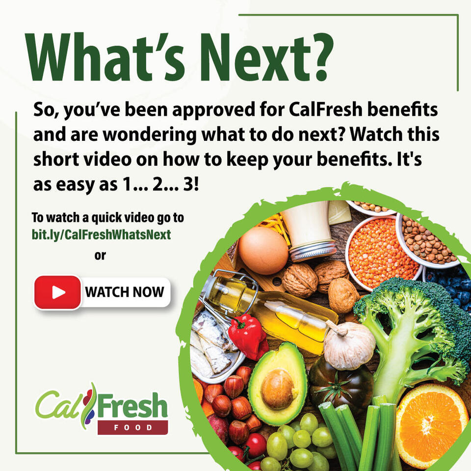 How to keep your CalFresh benefits active - NewsBreak
