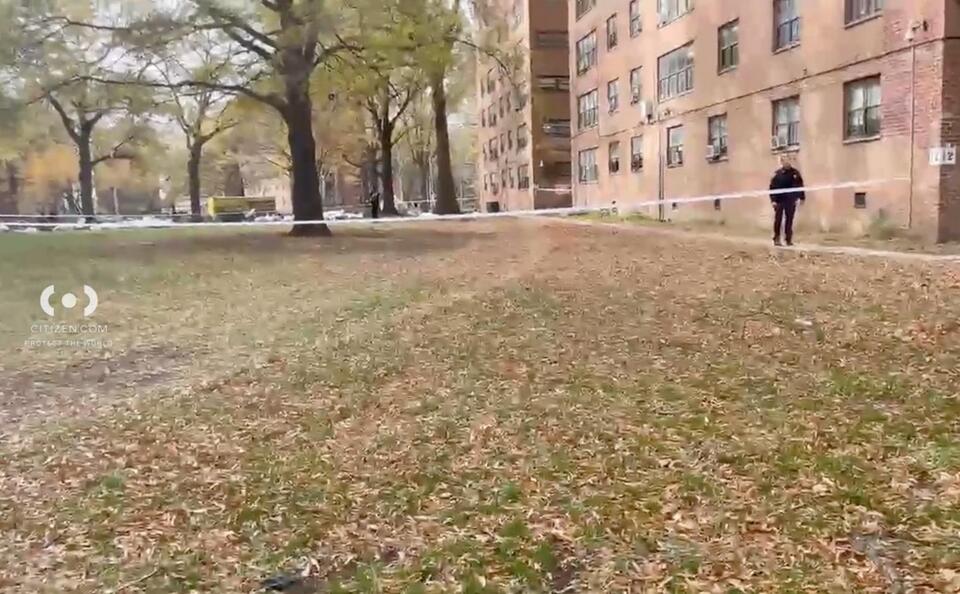 Remains of fetus found in bag outside Brooklyn NYCHA buildings - NewsBreak