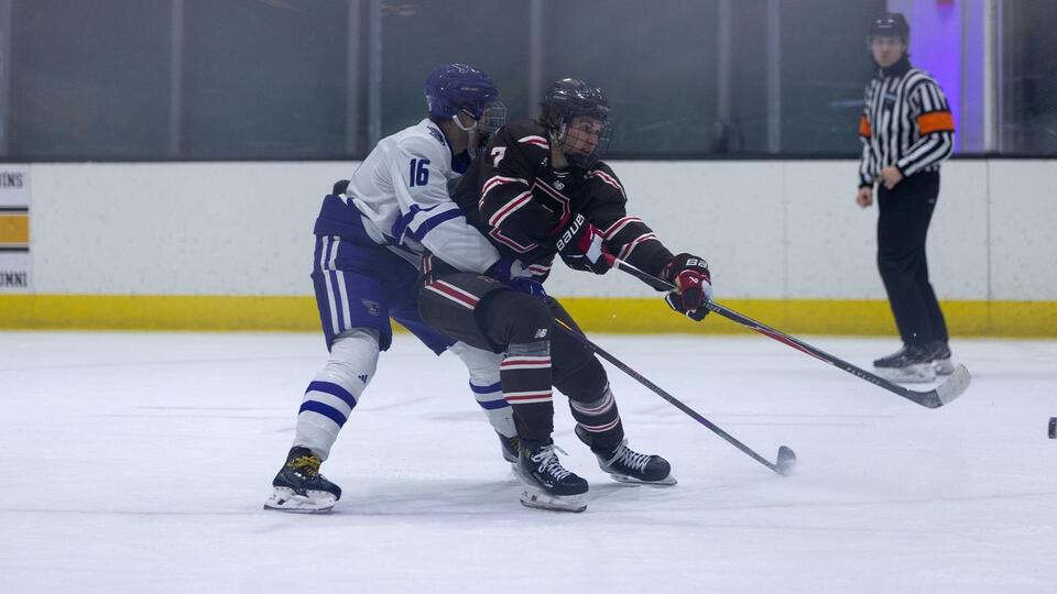 Men’s Hockey Falls in Overtime at Stonehill in Non-Conference Finale ...